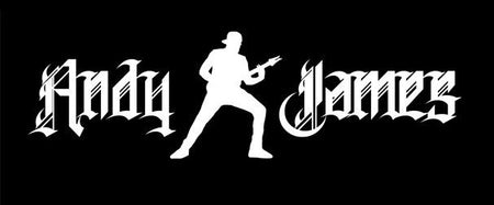 Guitars & more – Andy James Store